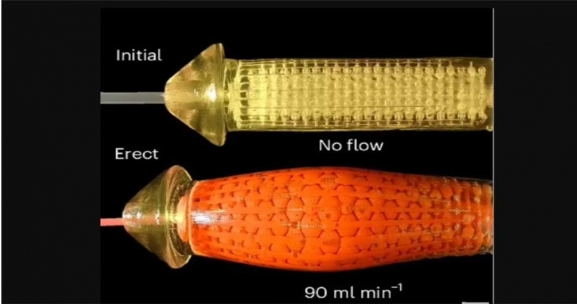 3D列印陰莖治陽痿！ 動物實驗成功恢復勃起「繁殖成功率100％」 | 生活 | CTWANT