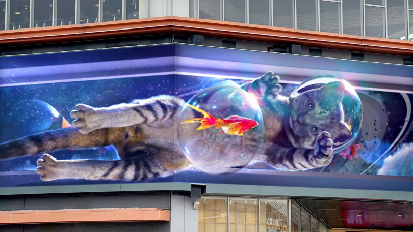 貓奴集合！3D貓咪奇幻秀出沒新竹商場 家中喵星人萌照登上LED大螢幕 | 生活 | CTWANT