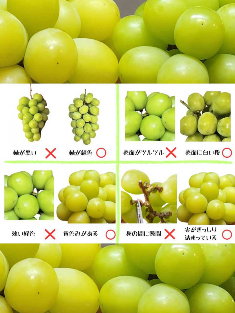 麝香葡萄買貴別再踩雷 專家曝「果梗顏色」決定甜不甜 | 生活 | CTWANT