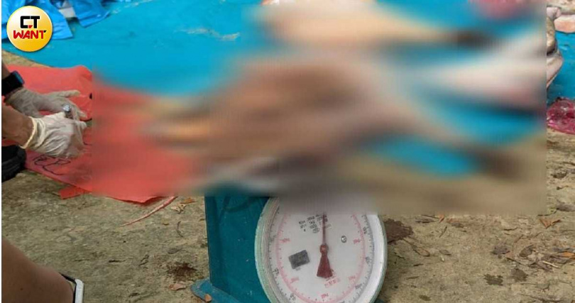 山林悲歌！移工租山區倉庫狂宰800公斤野生動物 冰櫃打開赫見水鹿頭 | 社會 | CTWANT