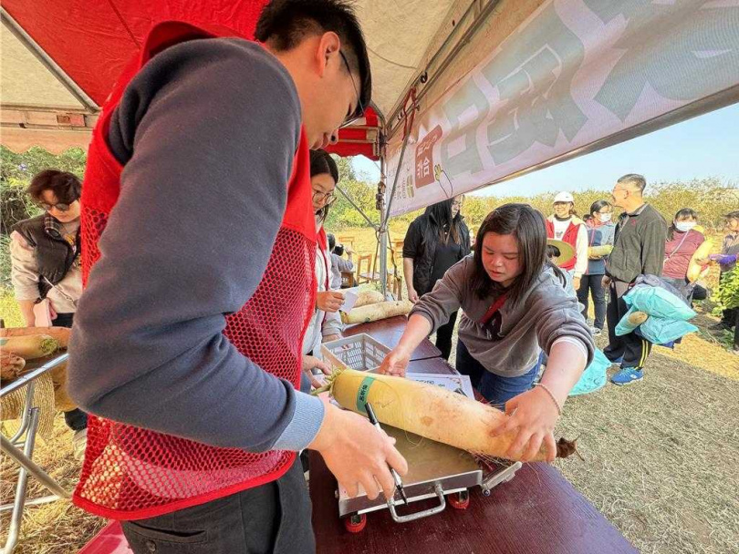 過年好彩頭！金門親子公益「追源頭‧拔菜頭」 4000顆蘿蔔3分鐘掃光 | 生活 | CTWANT