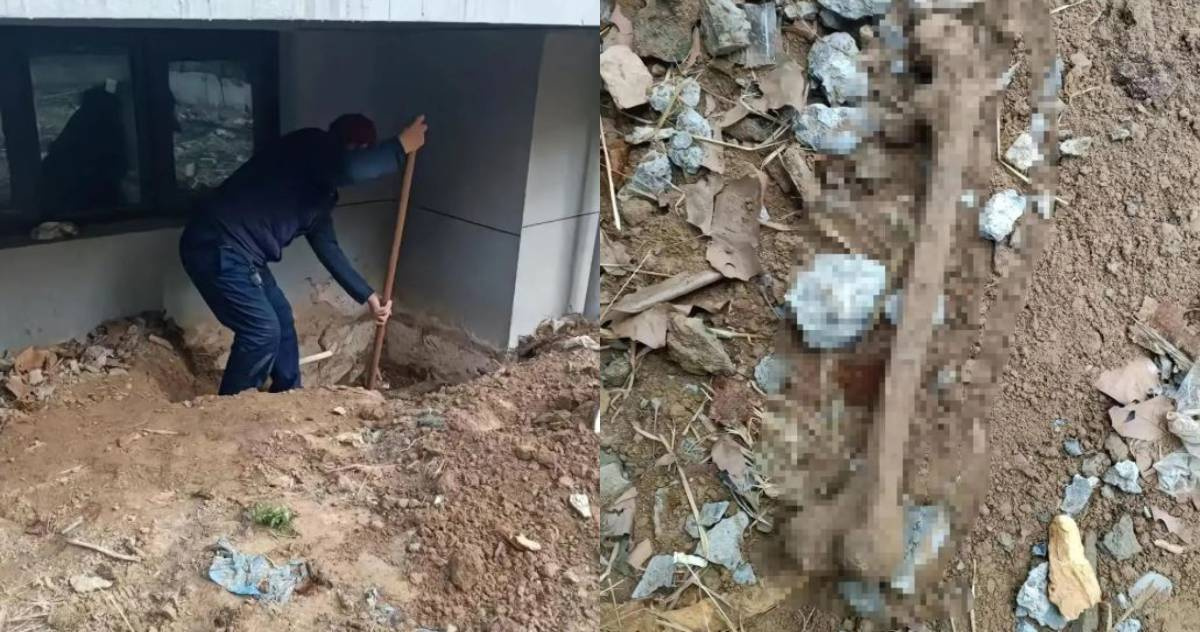 買新房裝修院子「挖出人骨」！超衰女屋主嚇到腿軟 建商拒賠償 | 國際 | CTWANT