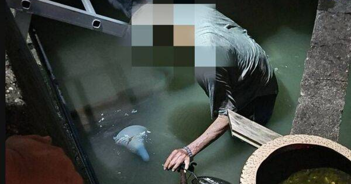 彰化87歲阿公騎車失蹤10小時 驚險摔落5米深水溝獲救奇蹟 | 社會 | CTWANT