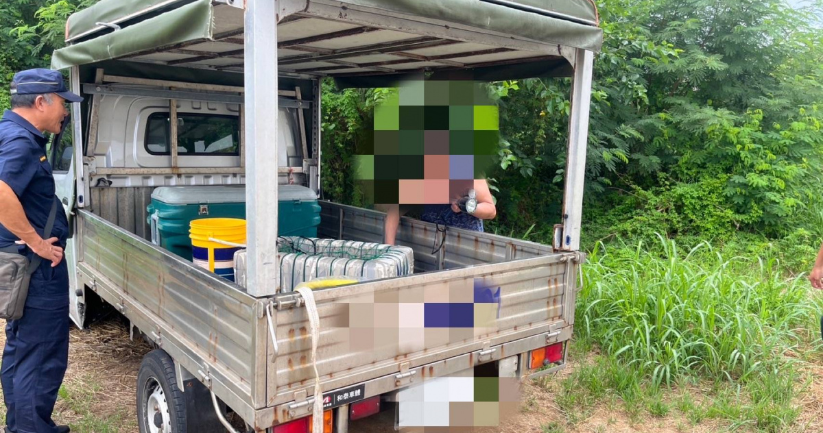 澎湖男潛水打魚返程疑「血糖過低」 小貨車衝出路面撞斷南洋杉 | 社會 | CTWANT