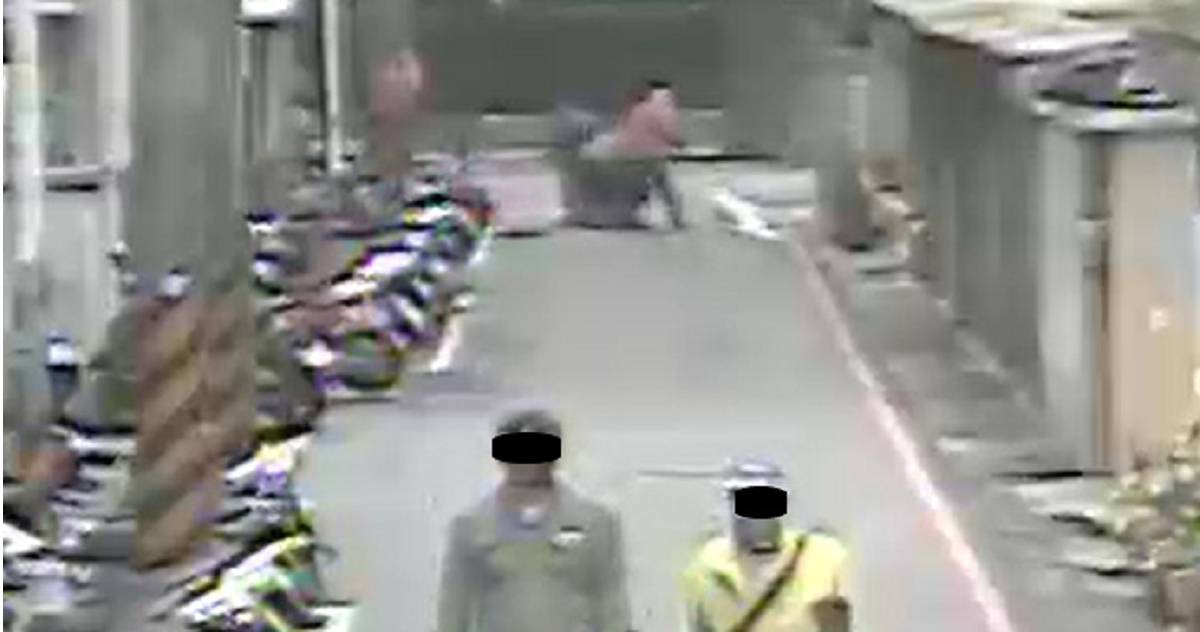 狐狸犬散步遭獒犬追咬喪命 飼主下場慘了 | 社會 | CTWANT