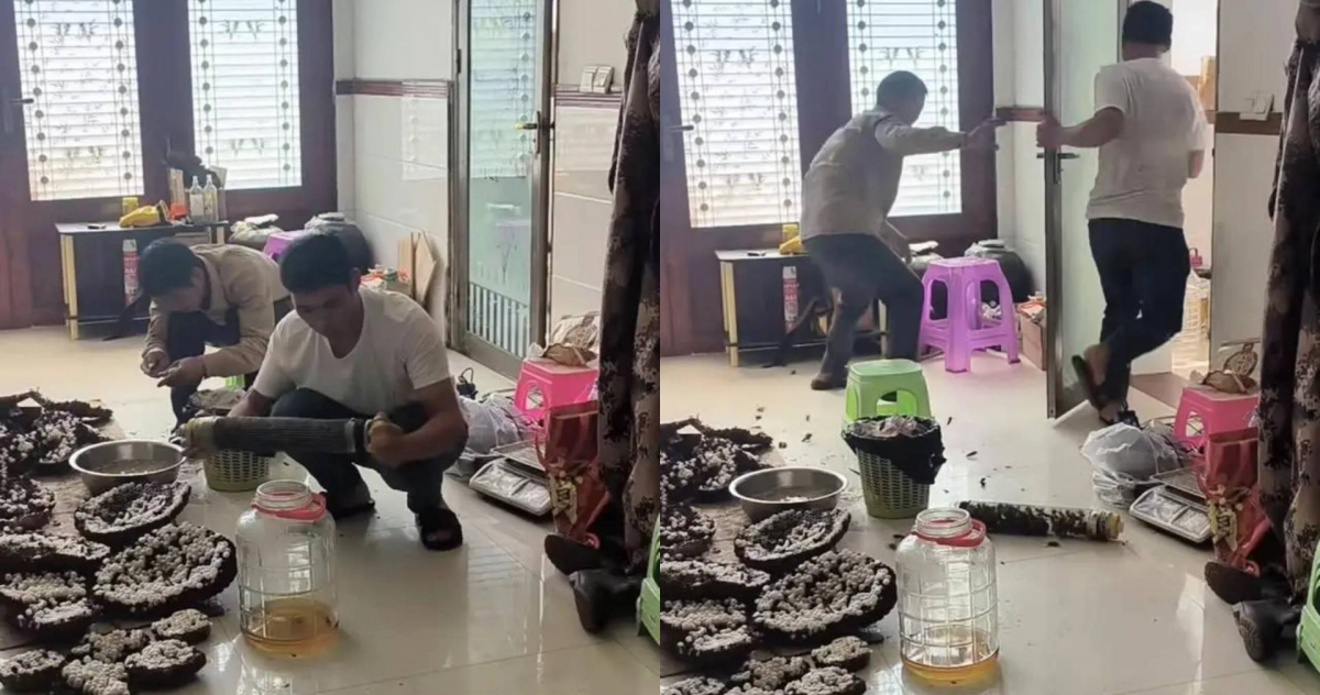 先跑再說！泡藥酒一個手滑「虎頭蜂滿天飛」 中國男子第一時間「關門逃跑」 | 國際 | CTWANT