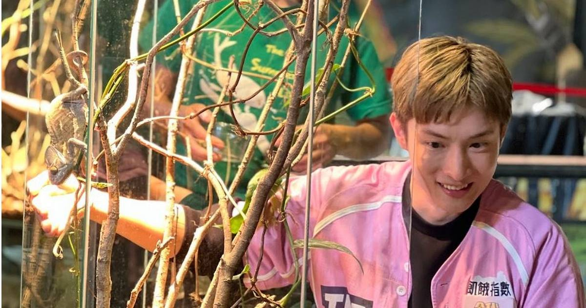 挑戰手拿麵包蟲餵食變色龍 阿本嚇壞崩潰尖叫 | 娛樂 | CTWANT