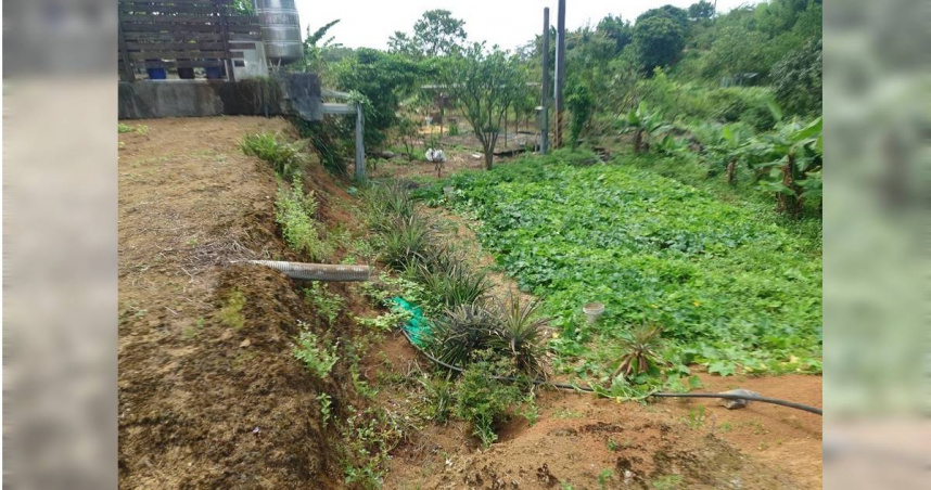 驚見倒臥農地！台電員工急報案 76歲翁OHCA送醫不治 | 社會 | CTWANT