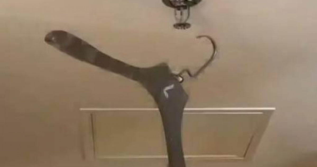 旅客住飯店隨手一掛！事後竟收68萬元「天價帳單」 原因曝光 | 國際 | CTWANT