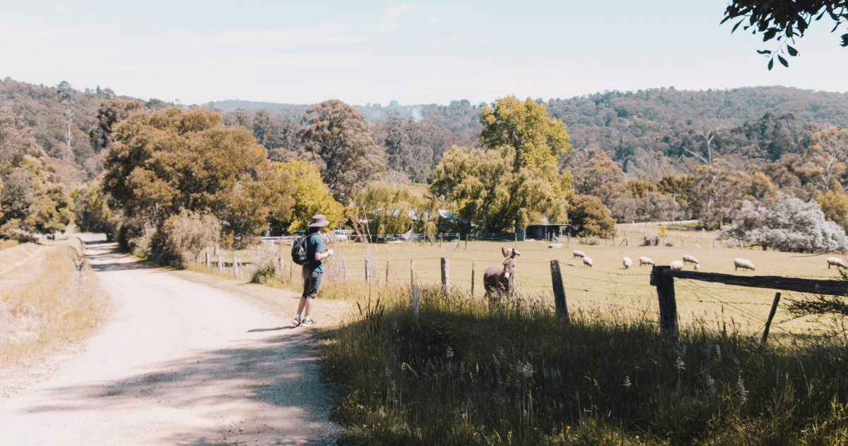 她問出國打工對職涯「真有幫助？」 網友認為關鍵是「這一點」 | 生活 | CTWANT