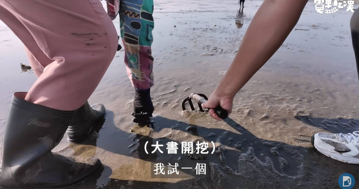 Dcard「電車吃漢」擅闖保護區！違反市府規定挖蛤蜊 官方急道歉 | 娛樂 | CTWANT