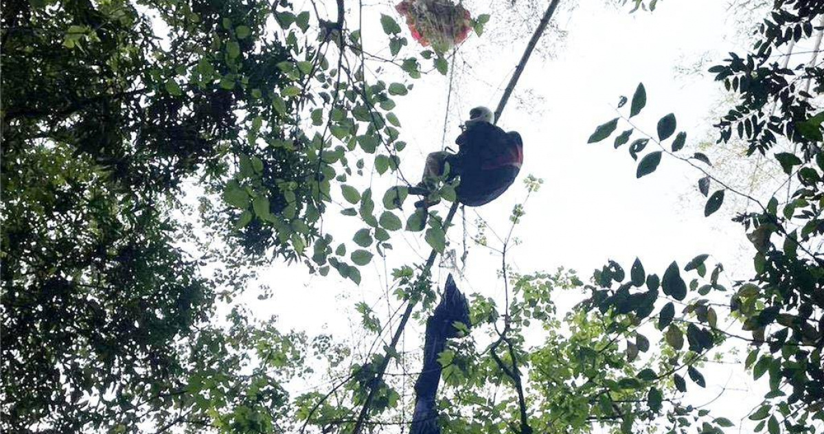 屏東賽嘉飛行場傳意外！飛行傘玩家掛10公尺樹上 消防花2小時救援 | 社會 | CTWANT