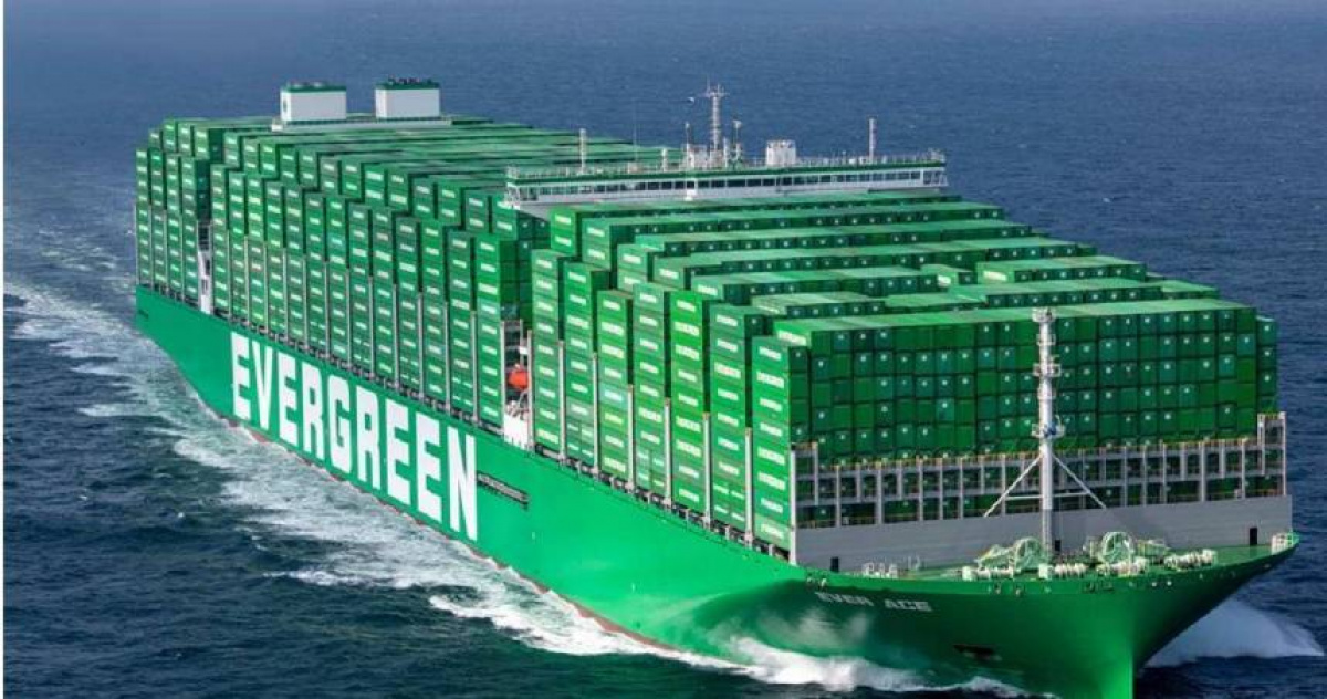 航海王長榮除息秀遇大盤逆風！ 10檔ETF爽領118億元股利 | 財經 | CTWANT