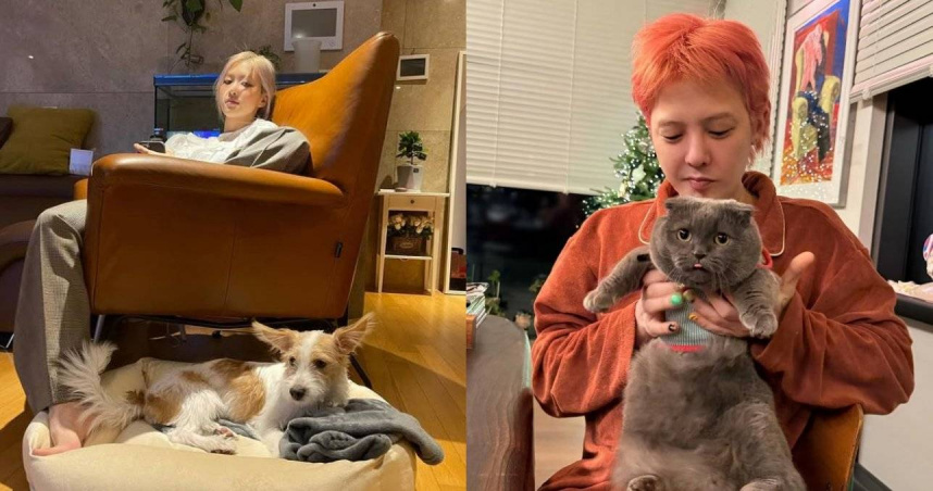 愛動物就是讚！盤點6位「毛孩控」韓星：Rosé愛狗IG粉絲破470萬、GD寵貓戴香奈兒項鍊太狂了 | 生活 | CTWANT