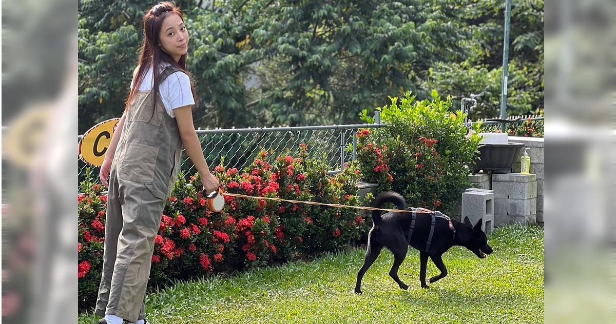 情散毛孩在1／舊愛書偉求婚成功 勇兔為母當自強獨遛狗女兒 | 娛樂 | CTWANT