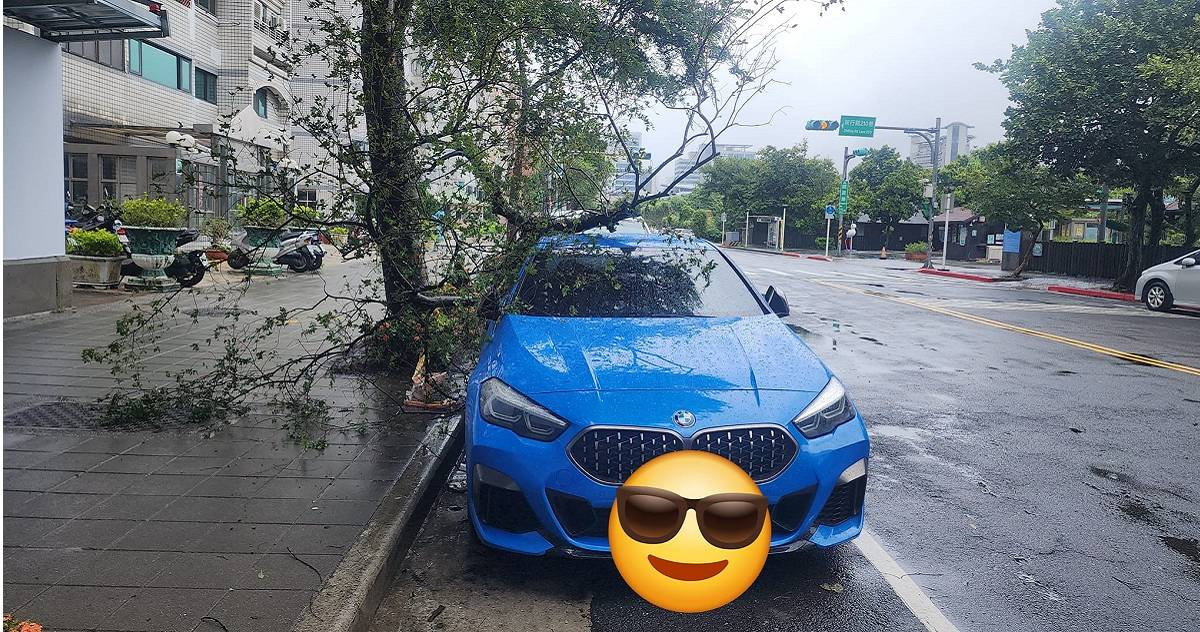 北投路樹砸中BMW後車窗「破大洞」 車價曝光網喊：心好痛！ | 生活 | CTWANT