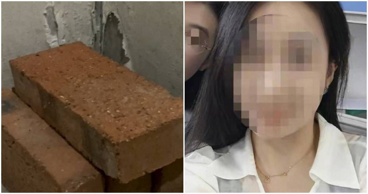 沒勇氣去死…厭世男怒丟8磚頭「砸死路人」 被抓喊：拜託判我死刑 | 國際 | CTWANT