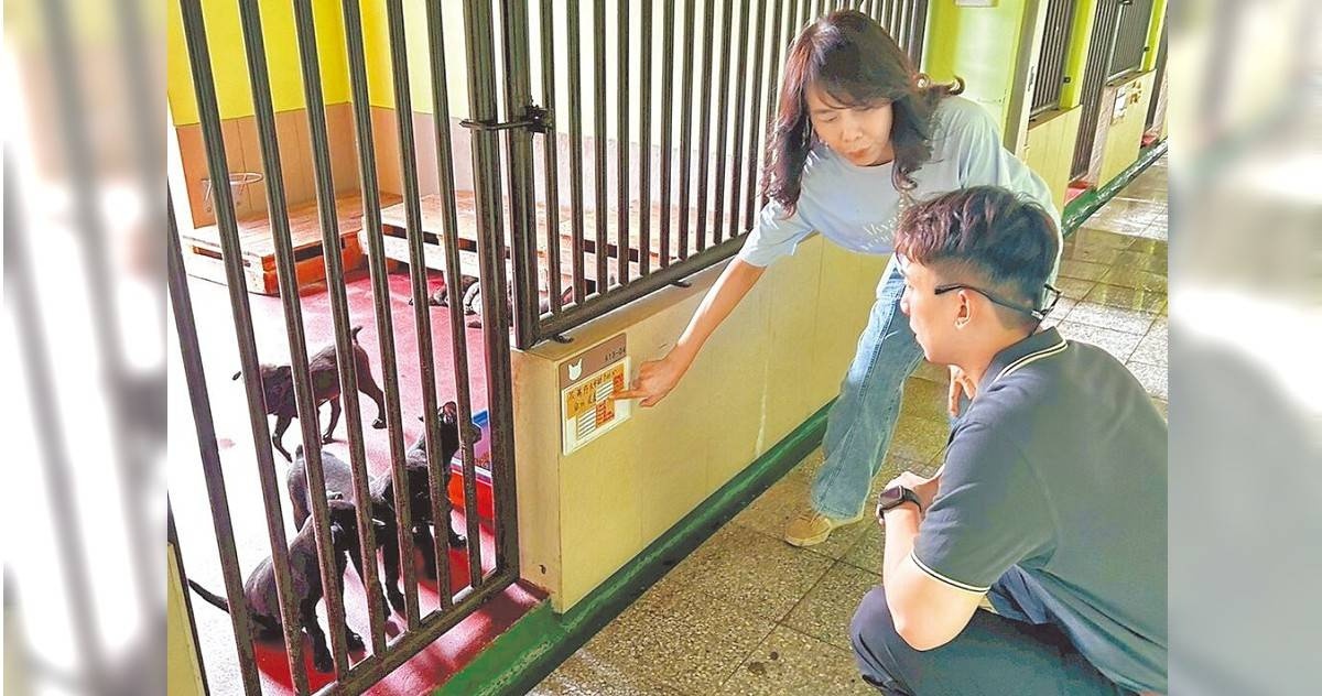 經費頻遭腰斬！屏東動物之家省冷氣費照顧浪浪 人貓同擠辦公室惹議 | 生活 | CTWANT