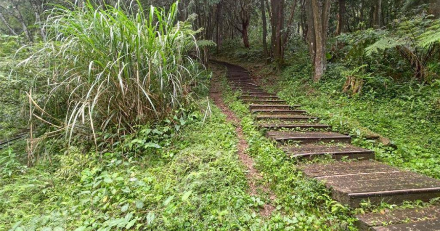 女網紅登東眼山遇「GoPro裸男」求合照一路尾隨 大溪警方追查 | 社會 | CTWANT