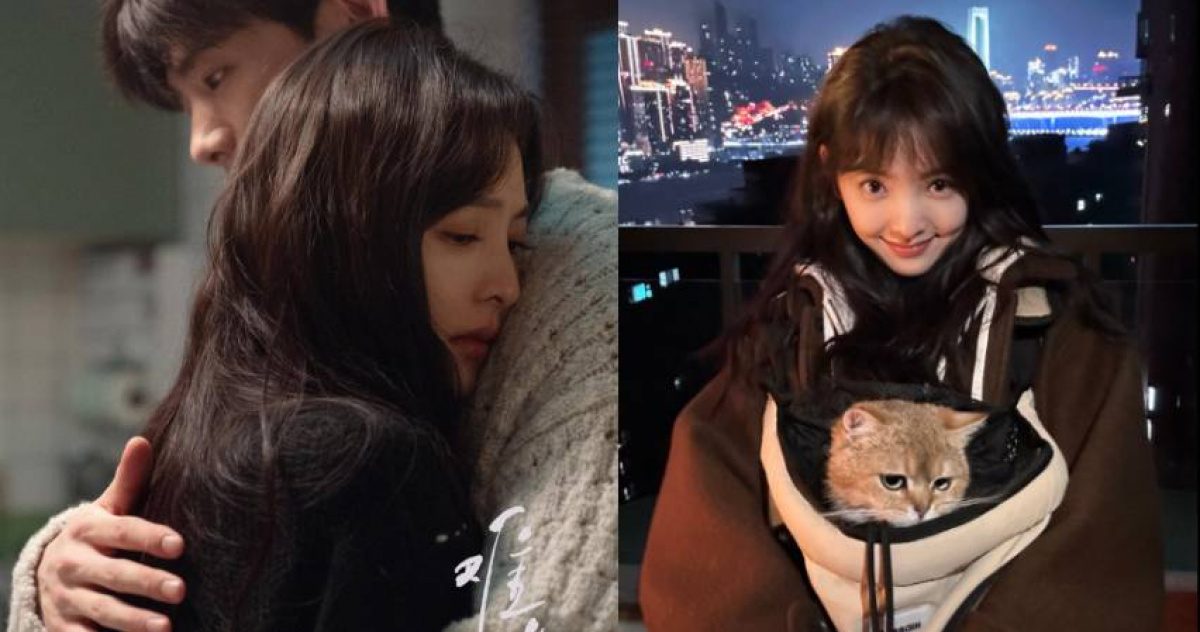 《難哄》溫以凡濃密長髮連女生都心動！章若楠公開養髮5秘訣，首先準備一支好梳子 | 漂亮 | CTWANT