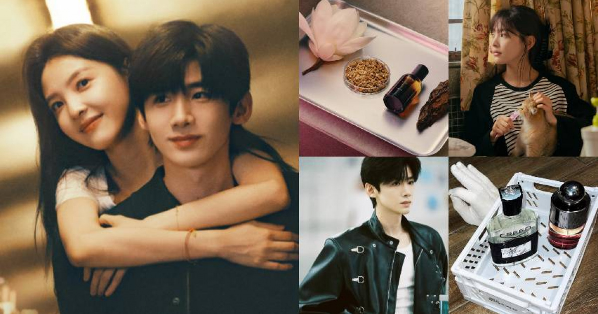 《難哄》溫以凡、桑延「天選香氛」是這款！Aesop 詠香水溫柔而堅韌、CREED 阿文圖斯感性中帶有睿智 | 漂亮 | CTWANT