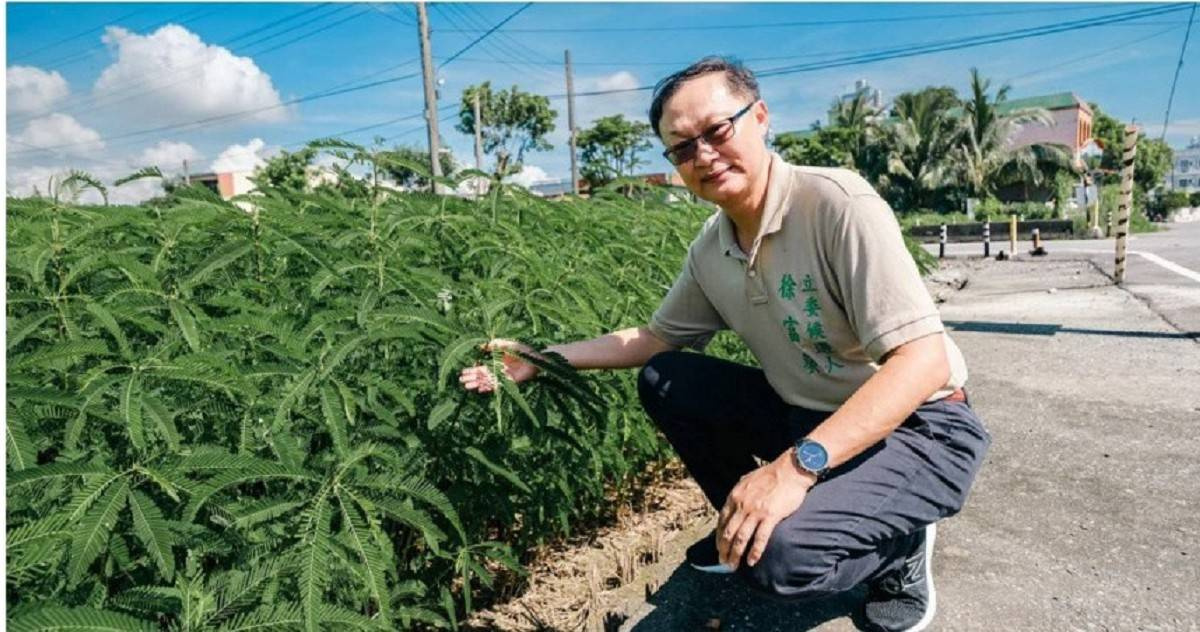 Lin bay好油自導自演道歉 徐富癸秀黨證：抵抗投機者政治操作 | 政治 | CTWANT