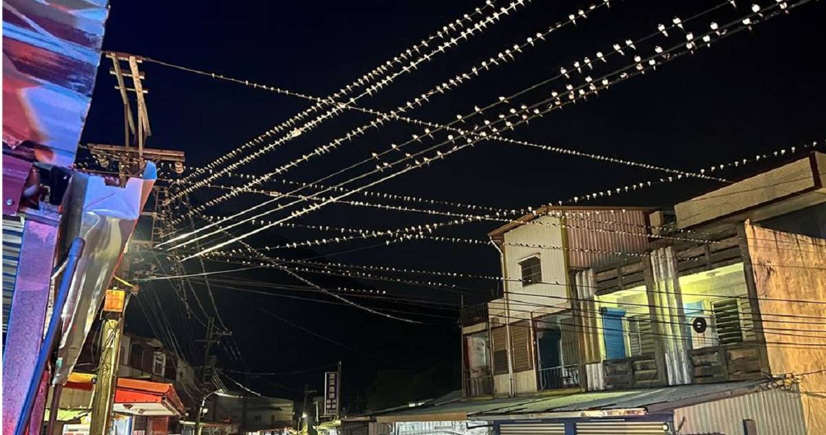 台東大溪夜現「鳥海」！數百家燕群聚電線 滿地鳥糞惹民怨 | 生活 | CTWANT