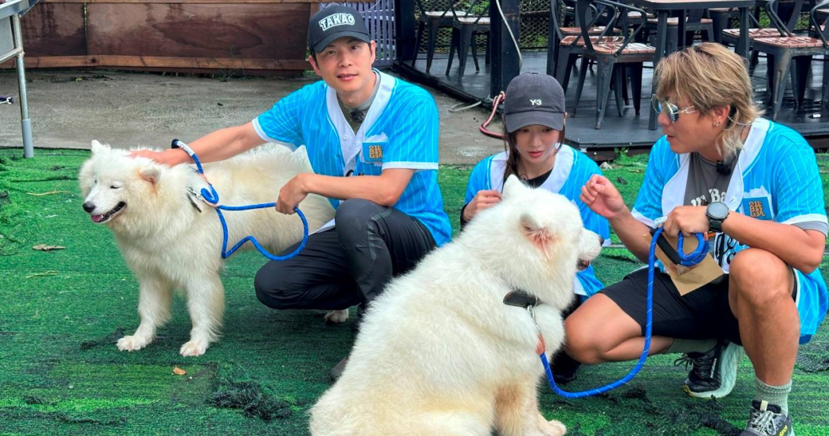 李㼈登《飢餓》主持群壓力大 王仁甫哀喊：有職業倦怠 | 娛樂 | CTWANT