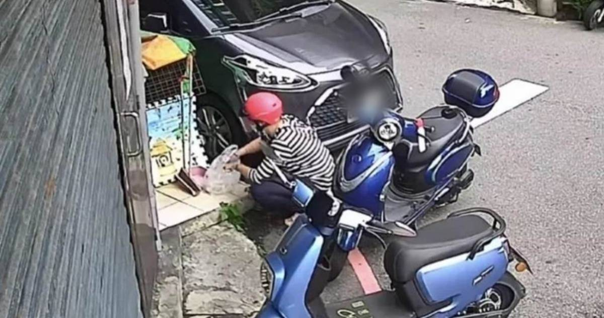 新莊婦連餵老狗8條糯米腸害暴斃 辯稱「狗太瘦」！動保處介入調查 | 社會 | CTWANT