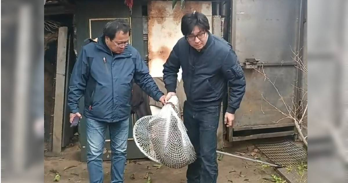 最後畫面曝光！手拎受傷狒狒先受訪 圍捕人員燦笑：「順利逮捕歸案」 | 社會 | CTWANT