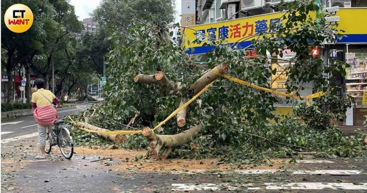 2024年3個侵台颱風被評「可歷史留名」 氣象專家揭1關鍵：過去經驗不再可靠 | 生活 | CTWANT