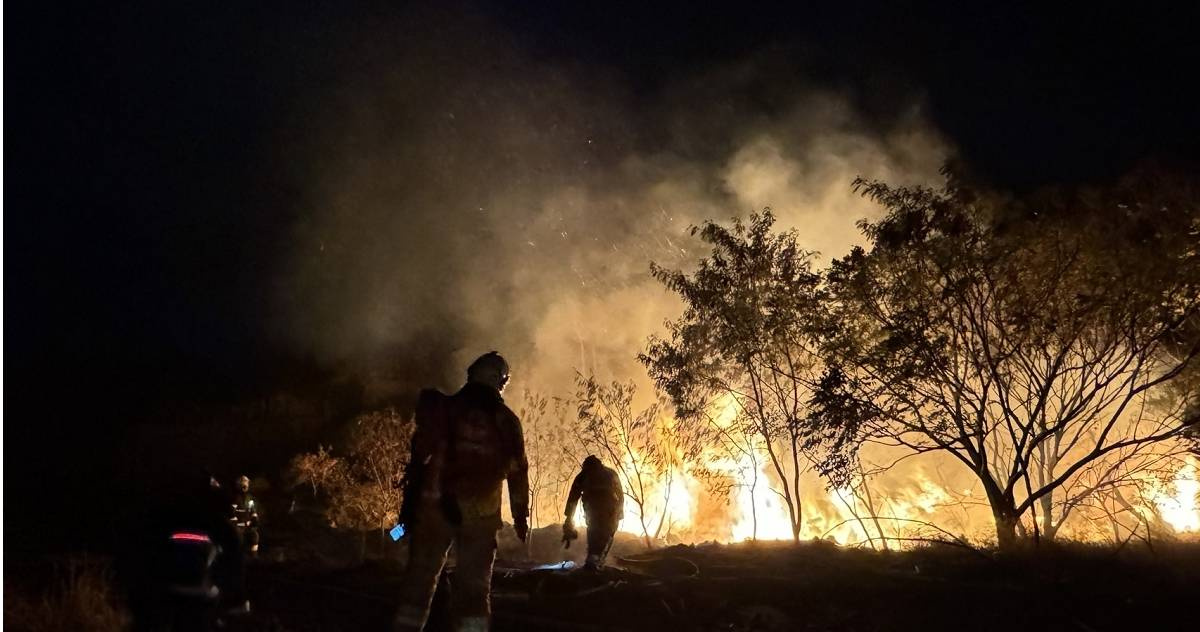 金門金湖鎮賞鳥聖地大火 燃燒3000平方公尺 | 社會 | CTWANT