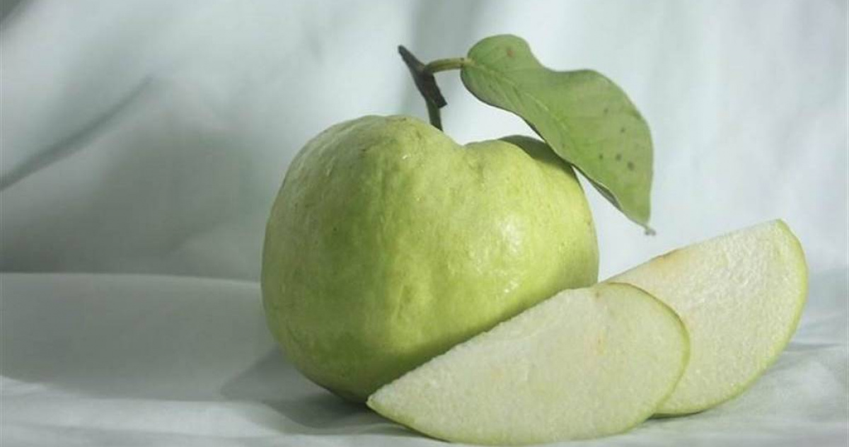 創20年來新高 珍珠芭樂每公斤價格「66.36元」…估計年底價格回穩 | 生活 | CTWANT