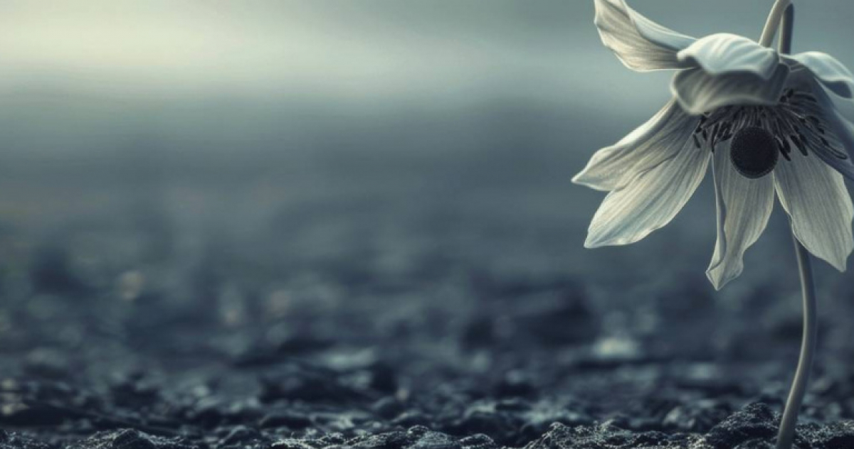 情緒低潮不是壞事，我們只是需要一點喘息時間 | 生活 | CTWANT