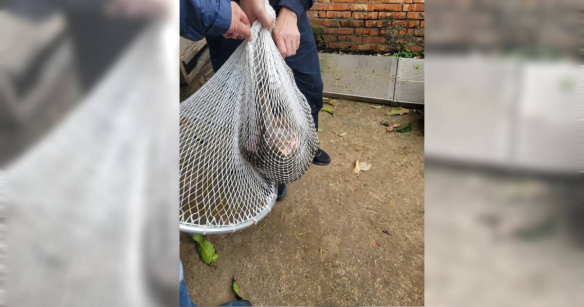 六福村終於回應了！遭指控授權開槍 三點聲明否認：將對獵人提告 | 社會 | CTWANT