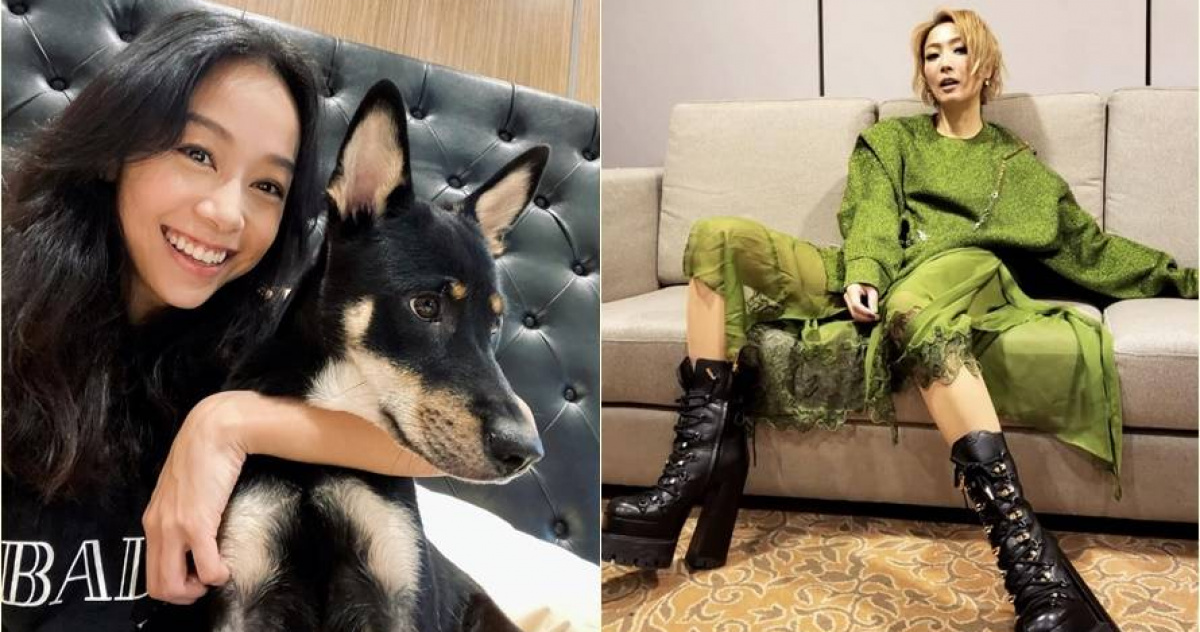 「姣精」黃心穎昔喇舌許志安如今復出 鄭秀文高EQ大氣回應 | 娛樂 | CTWANT