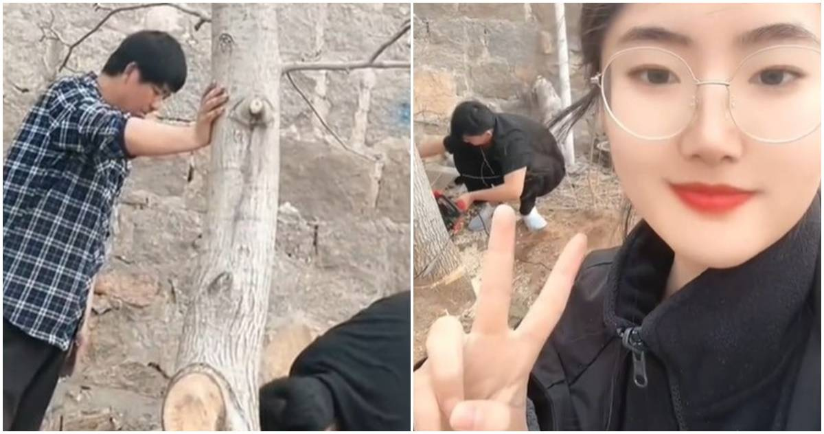 算命師說「核桃樹會擋姻緣」 她不猶豫直接砍掉…其實還有「這原因」 | 國際 | CTWANT