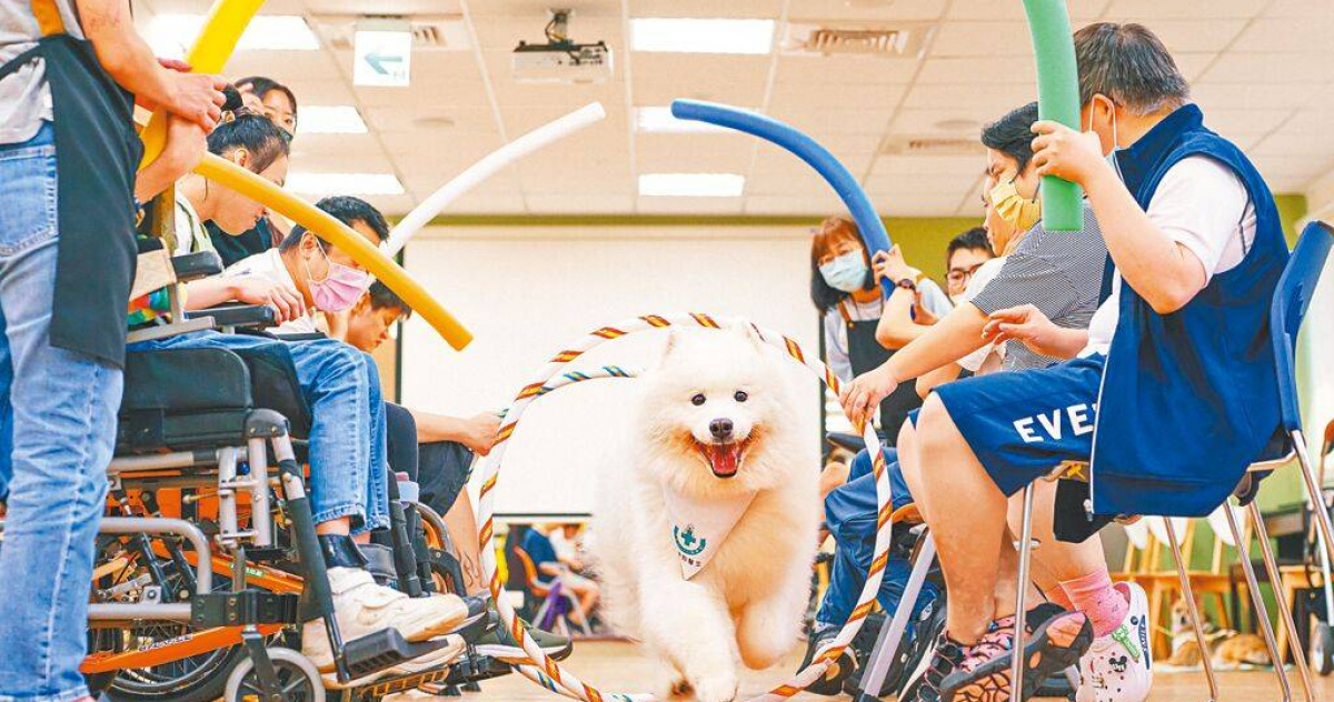 狗醫生需具「親和力」還得考試 專業療癒暖人心 | 生活 | CTWANT