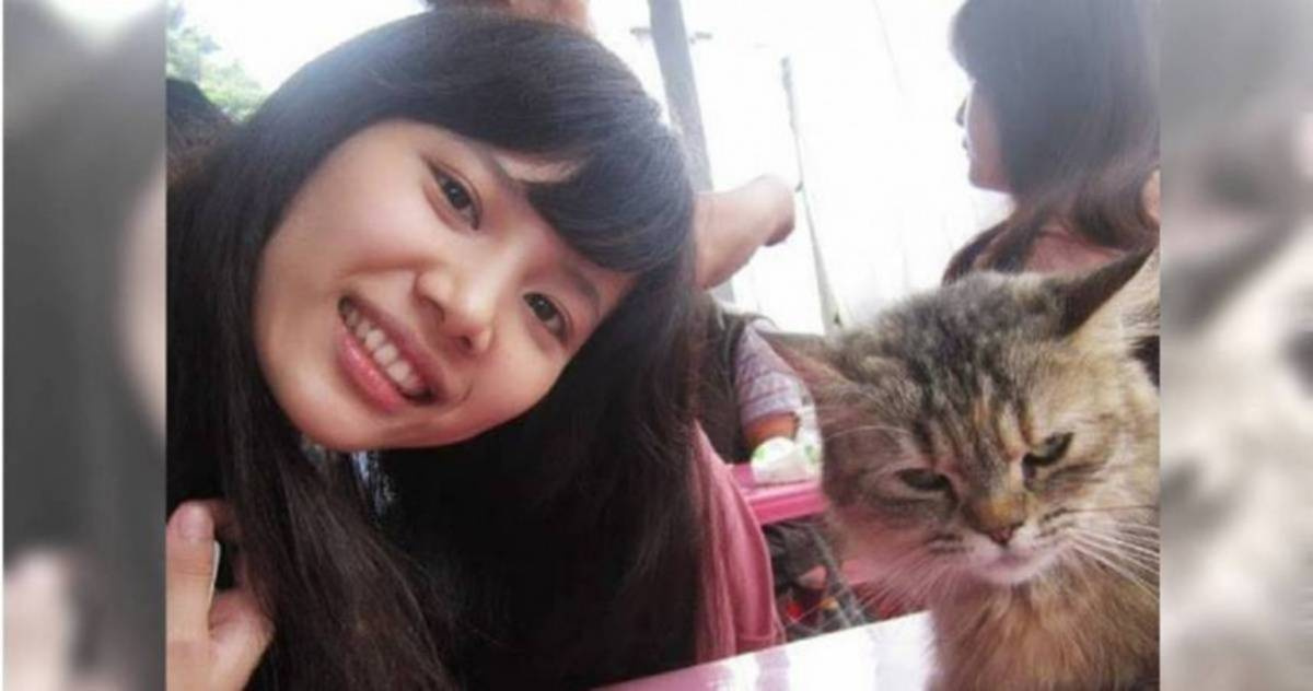 快訊／陳梅慧命喪國道車禍案偵結 駕駛「過失致死」起訴 | 社會 | CTWANT