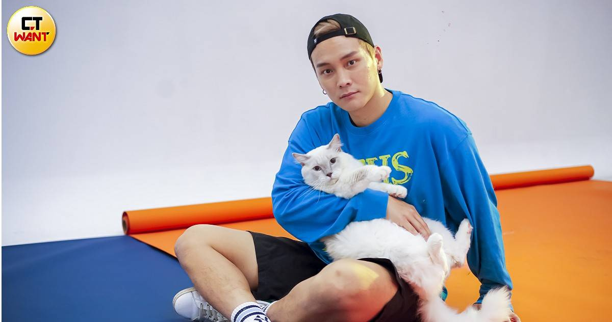 寵物情緣／貓女兒吃醋欺負女友 劉漢之DIY新房寵喵星人 | 生活 | CTWANT