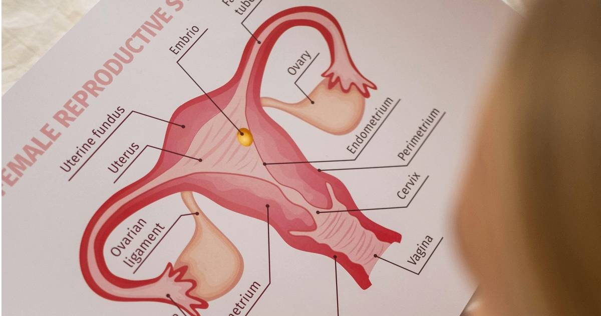 荒謬醫療事故！ 她DNA樣本遭混雜…切完子宮才知搞錯人 | 國際 | CTWANT