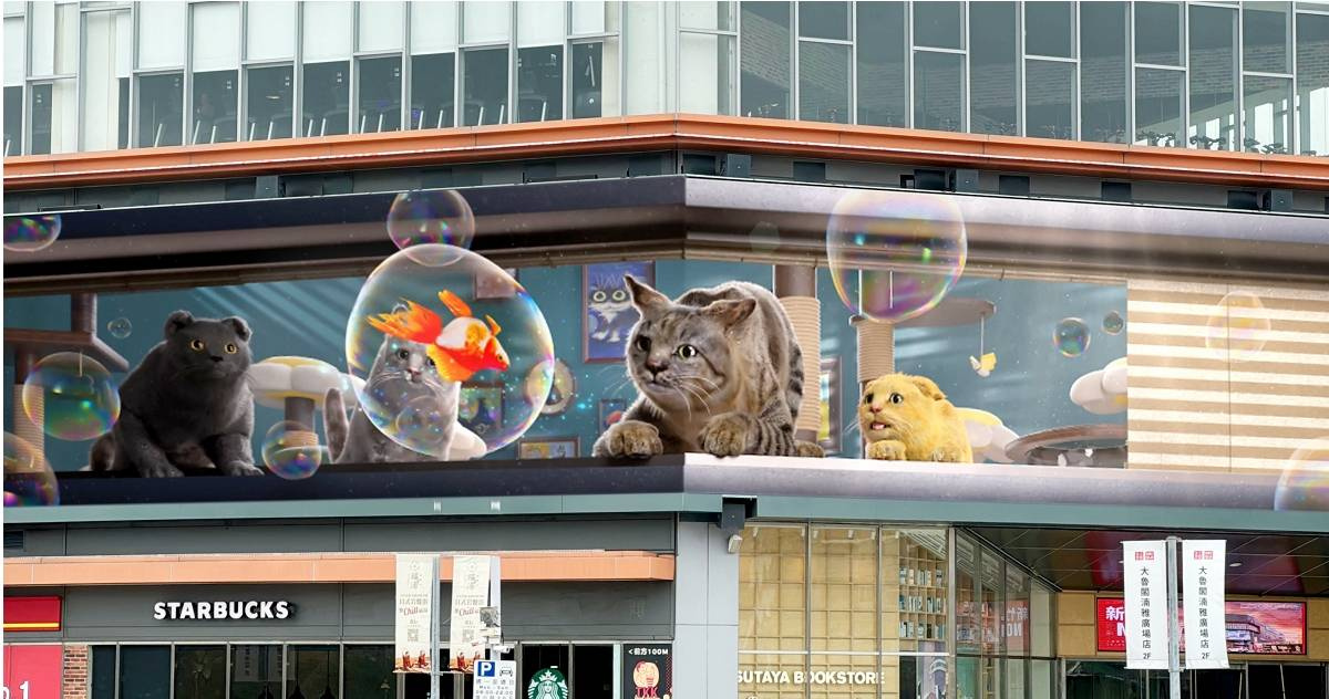 貓奴集合！3D貓咪奇幻秀出沒新竹商場 家中喵星人萌照登上LED大螢幕 | 生活 | CTWANT