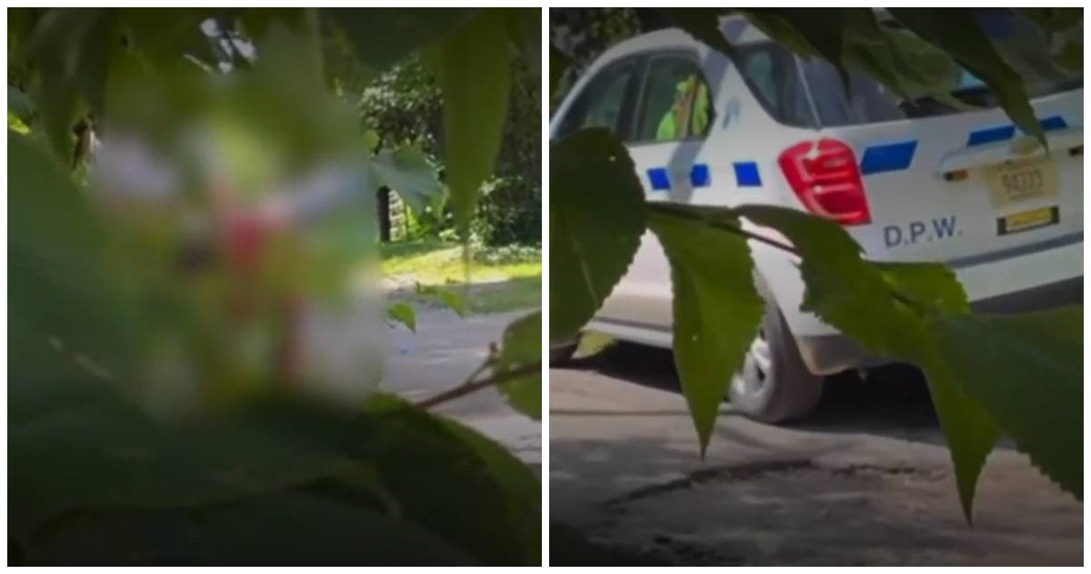 納稅人不開心！美公務員上班時段「開公務車去買春」遭拍 當事人被停職接受調查 | 國際 | CTWANT