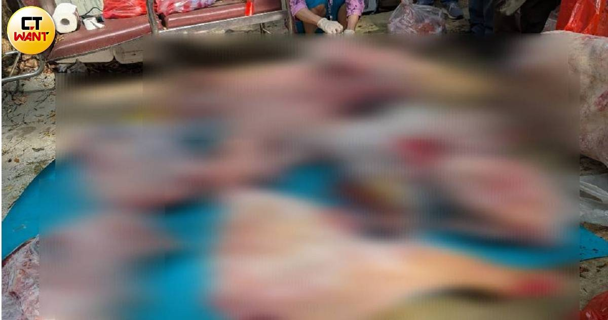 山林悲歌！移工租山區倉庫狂宰800公斤野生動物 冰櫃打開赫見水鹿頭 | 社會 | CTWANT