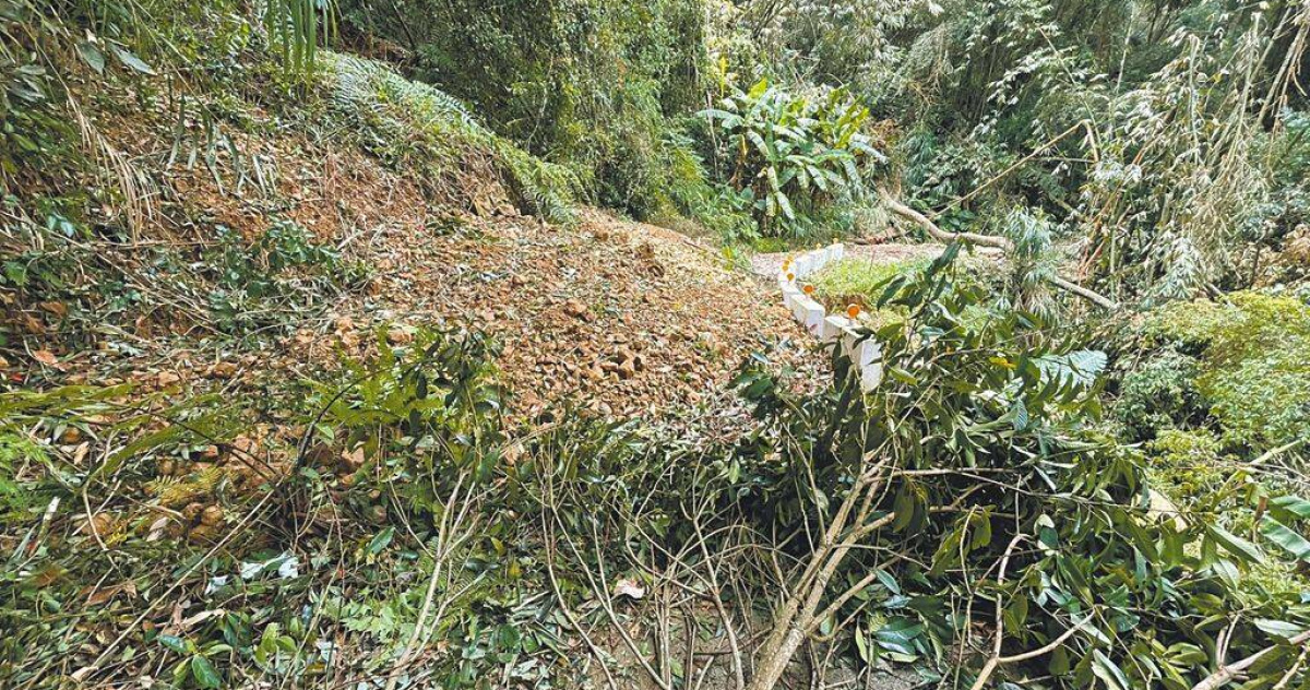 「爽口命令」讓基層壓力山大！古坑鄉長戰農業部 轟勘災費不合理 | 生活 | CTWANT