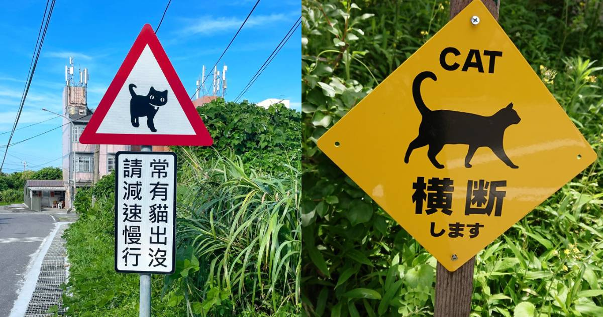 日本人遊台見「1號誌」直呼太可愛！ 網點名「這些」也有趣 | 國際 | CTWANT