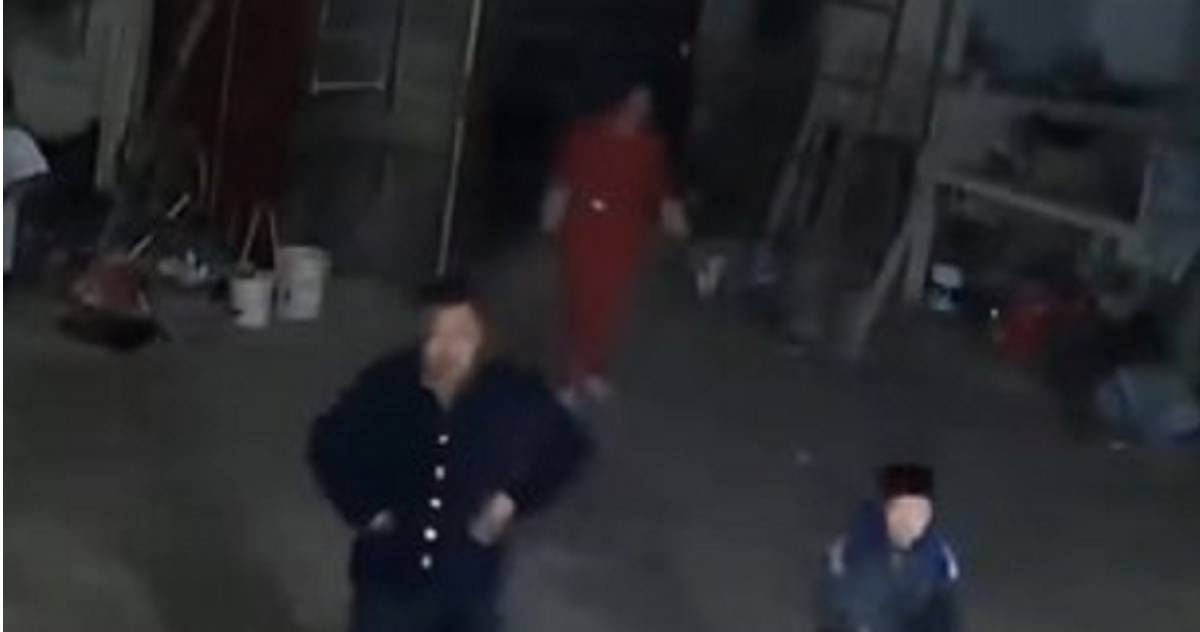 88歲獨居嬤半夜不舒服 10子孫「一行為」暖炸網 | 國際 | CTWANT