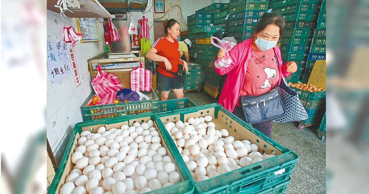 政府提出洗選提升蛋雞產業 業者：非唯一解方 | 生活 | CTWANT