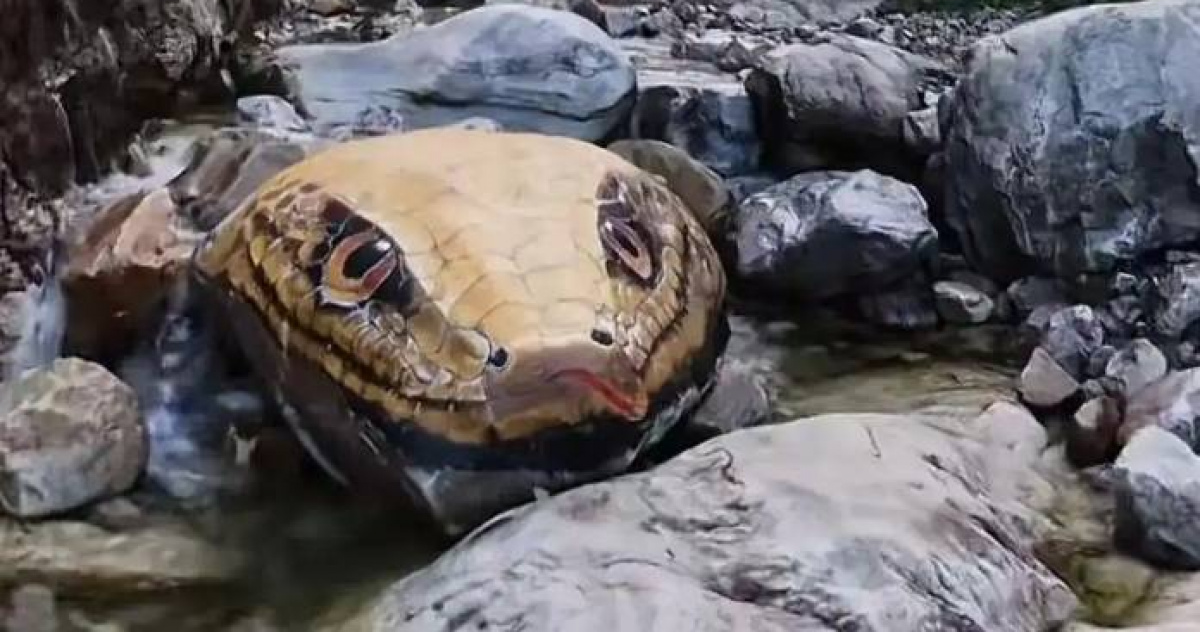 河南嵩山出現「巨型黃金蛇頭」遊客嚇傻 景區回應了 | 國際 | CTWANT