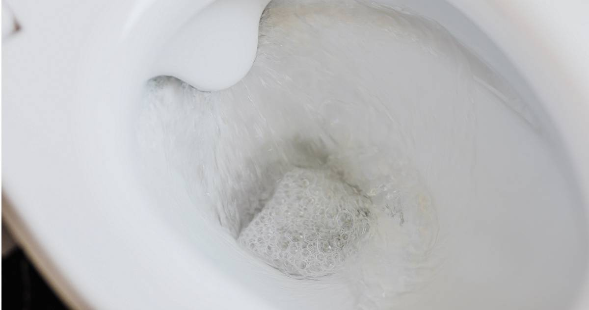 Thinking that her family forgot to flush the toilet... She pressed the ...